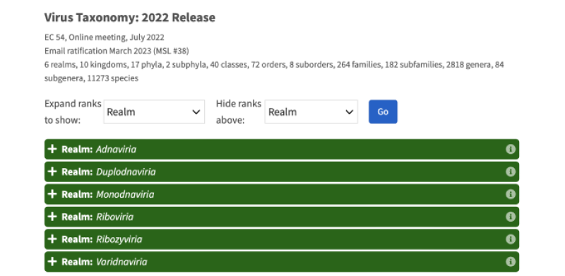 ICTV | The Classification and Nomenclature of Viruses